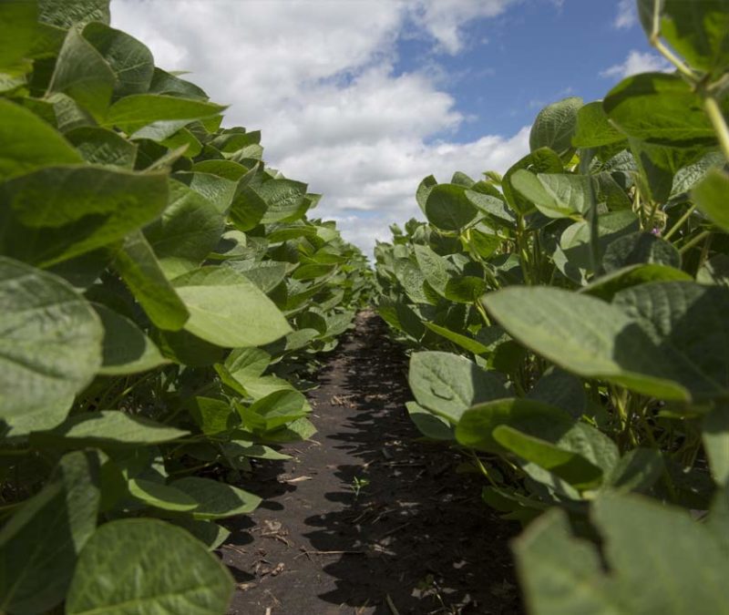 Ross Creative Works - Marketing and Commercial Photography Naperville